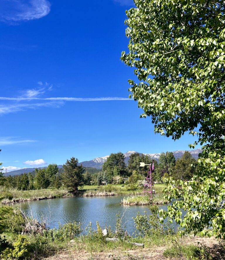 24 Things To Do In Cascade In The Summer - idahouncovered.com
