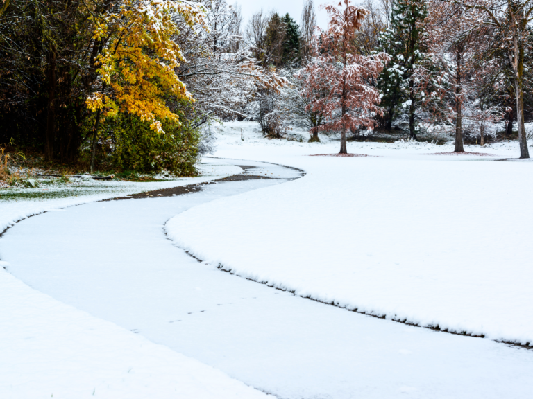 Winter In Boise: 23 Best Things To See And Do
